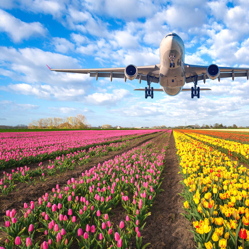 What RTC Pilot Can Do For Your Flying Career - RTC Training